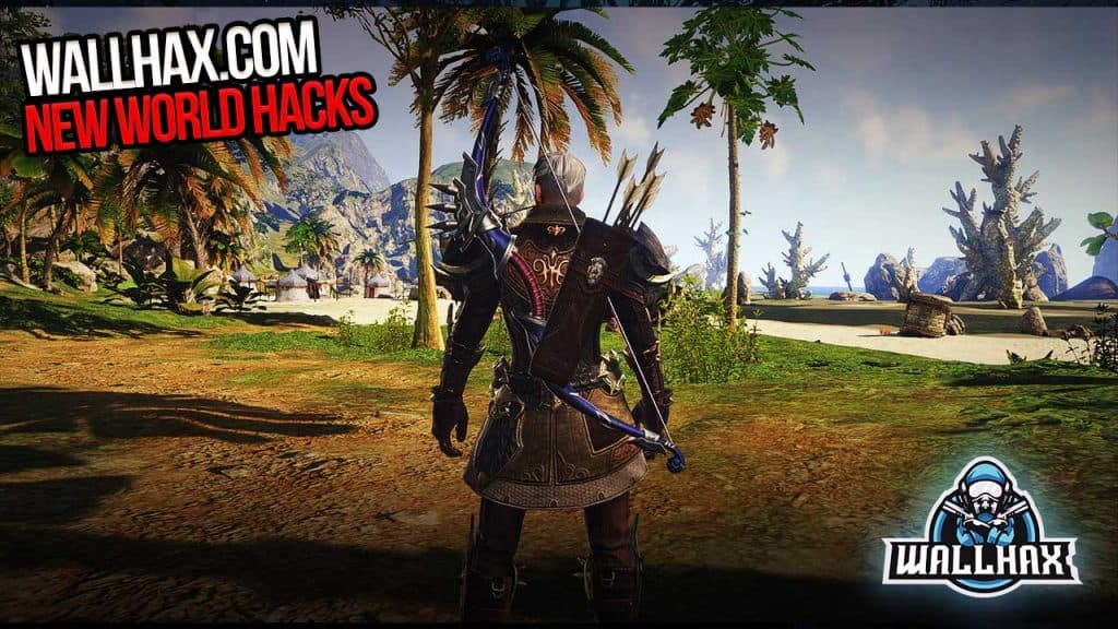 New World Hacks - Best PVE & PVP Cheat Download | Wallhax